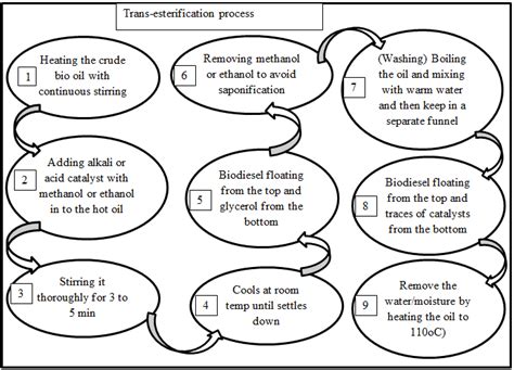 1 Biodiesel Extraction Process Trans Esterification Download Scientific Diagram