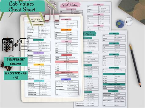 Blank Lab Value Diagram Nursing