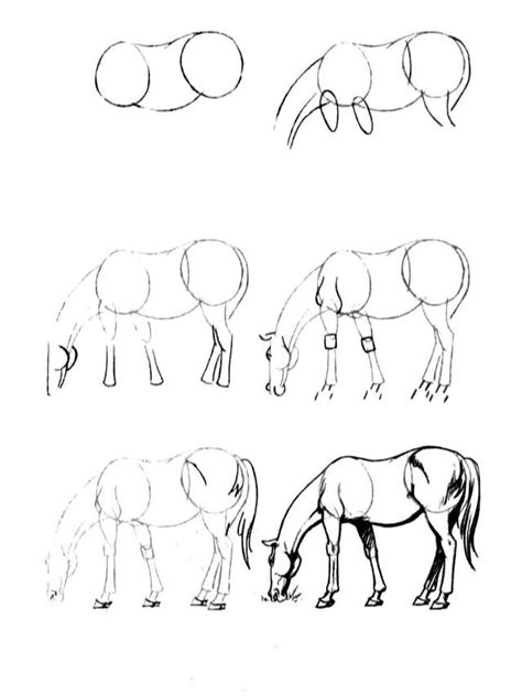 马的简笔画教程步骤简单（漂亮12张）简笔画图片大全