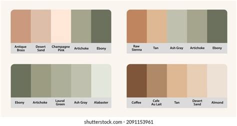 Rgb Hex Color Guide Matching Color Stock Vector Royalty Free Shutterstock
