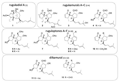 Chemical Structures Of Diterpenoids Isolated From R Okamurae Adapted