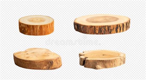 Collection Of Four Natural Wood Tree Slices With Visible Growth Rings