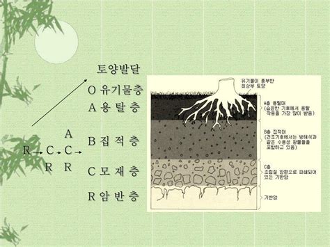 Ppt 토 양 관 리 Powerpoint Presentation Free Download Id3516992