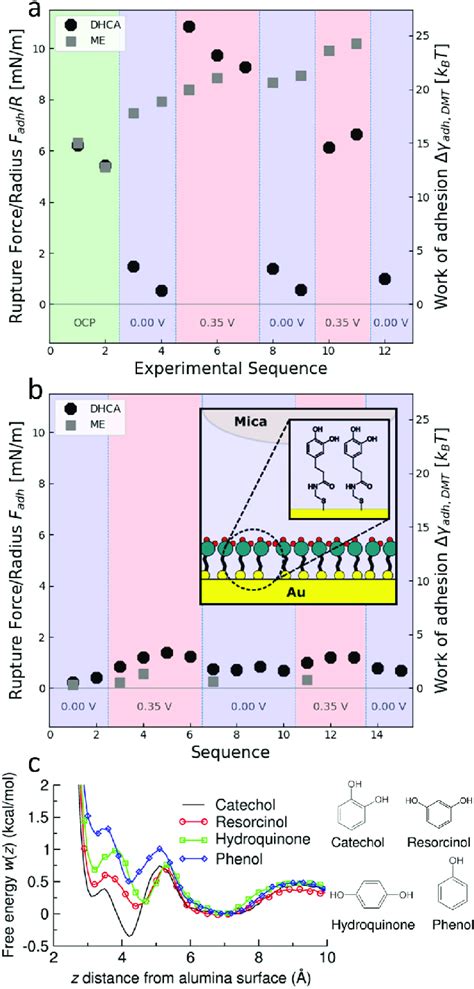 Adhesion Of A Self Assembled Monolayer On Gold With Catechol Dhca And