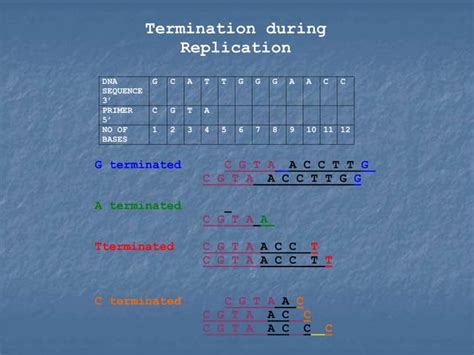 Dna Structure Lecture Ppt
