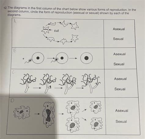 Solved 10 How Does The Type Of Reproduction Shown In Method
