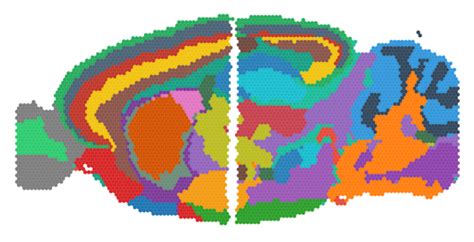 Biomedical Data Science Ai And Modeling School Of Engineering Vanderbilt University