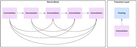 Building A Densenet Based Neural Network With Transformer And Mbconv Blocks For Penile Cancer