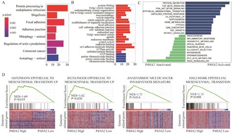 Bioinformatics Analysis Of Tcga Cervical Cancer Cohort With High Or Low Download Scientific