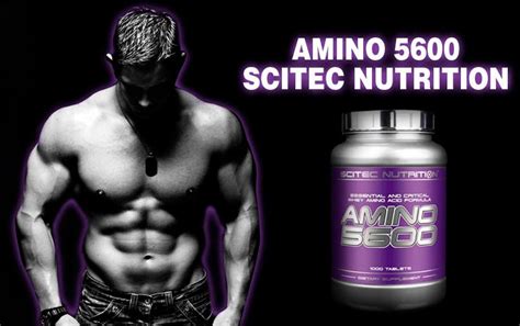 Amino 5600 от scitec nutrition: как принимать, отзывы - Тело Атлета
