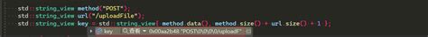 route函数中的std string view构造问题，导致key查询失败 · issue 251 · qicosmos cinatra