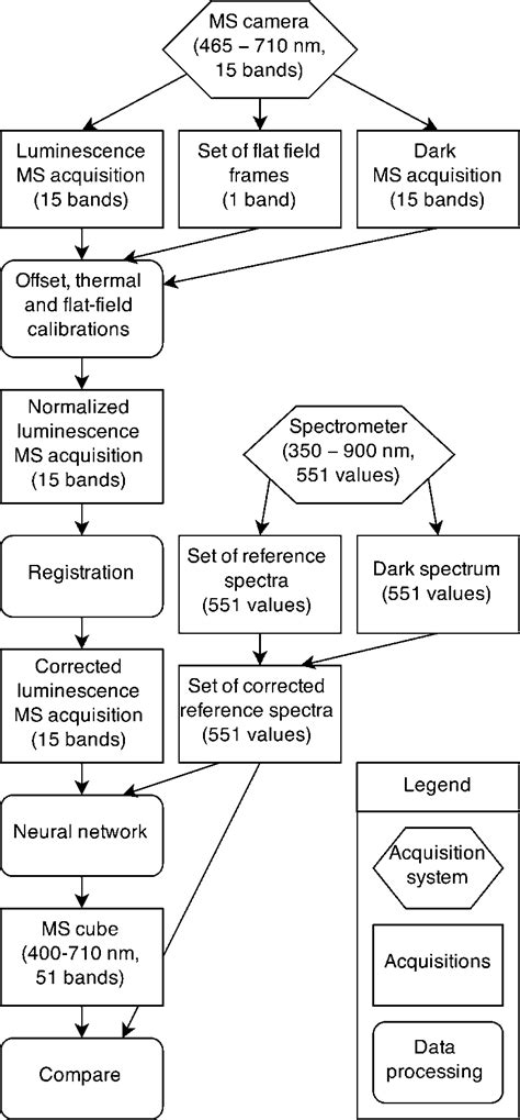 Data Processing Overview Download Scientific Diagram