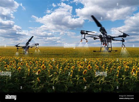 Drones Sprayers Flies Over The Agricultural Field Smart Farming And