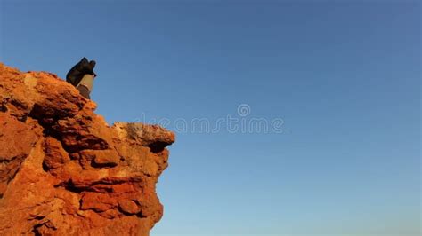 Motivation Mental Balance Harmony Freedom And Inspiration For New Changes A Man Standing On