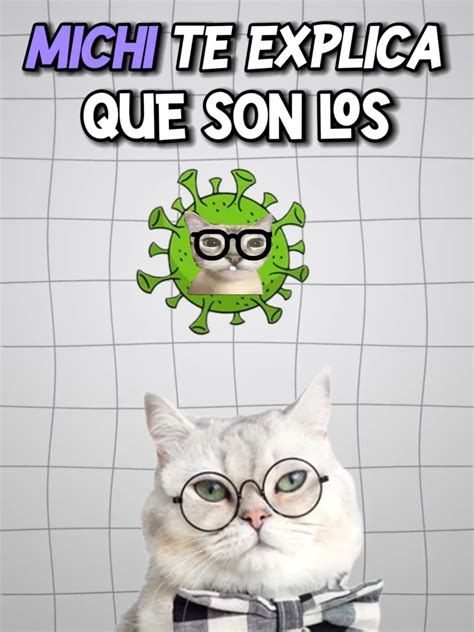 Michi Te Explica Que Son Los Virus Michi Economia Tiktok