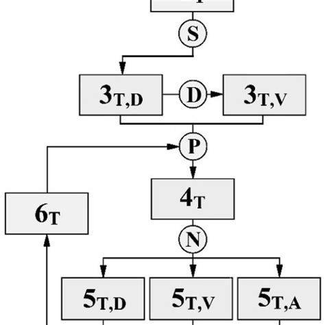 Basic Flowchart Of The Computational Routine Download Scientific Diagram