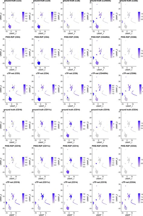 protein levels on rna based cell clustering results on cbmc data the