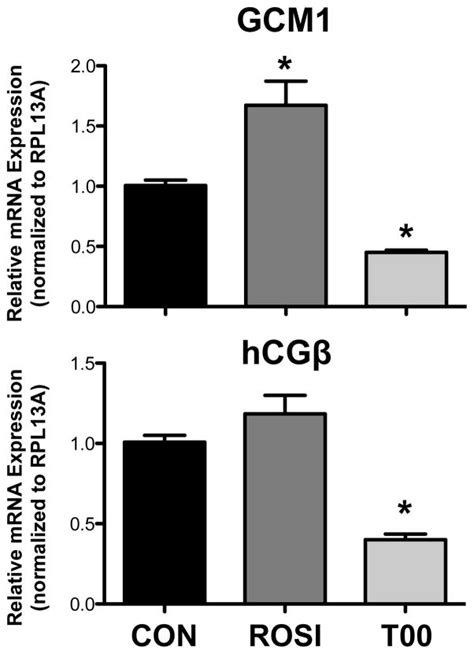 Regulation Of The Placental Bcrp Transporter By Ppar Gamma Pmc