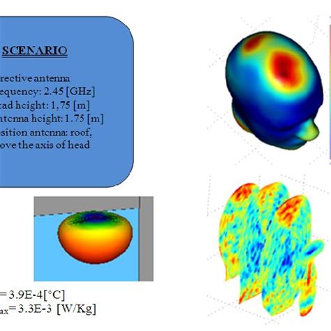 Temperature And Sar Variation On The Head Surface Considering