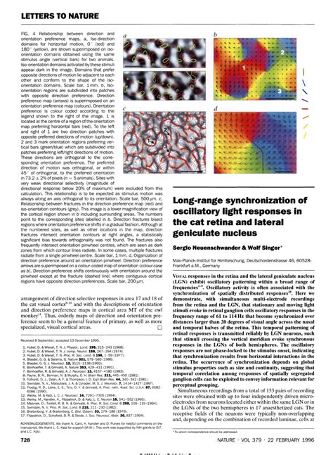 Pdf Long Range Synchronization Of Oscillatory Light Responses In The