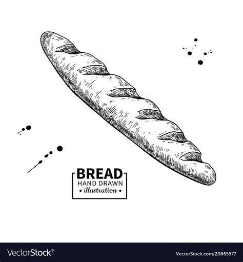 Baguette Bread Drawing Bakery Product Royalty Free Vector