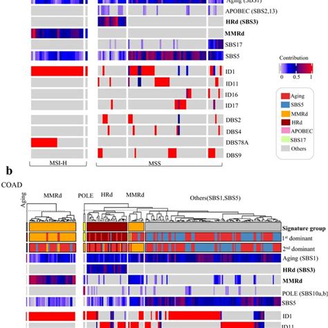 Tmb And Contribution Of Mutational Signatures In Wes Data From Msi H