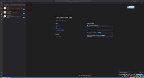 astyle的配置保姆教程，带批量处理 vscode astyle csdn博客