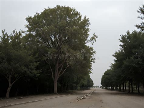 Ai Generated Landscape Consisting Of Rows Trees On Both The Side Of The Road Stock Illustration