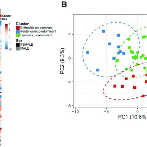 Gene Expression Pattern By Imaging Clusters Download Scientific Diagram