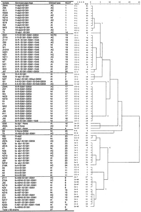 Relationships Between 3 Set Genotypes And Multilocus Sequence Types Download High Quality