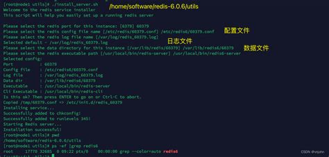 Redis 实战:逐步指南,让你轻松在 Linux 上安装与部署 阿里云开发者社区 Redis 实战:逐步指南,让你轻松在 Linux 上安装与部署 阿里云开发者社区