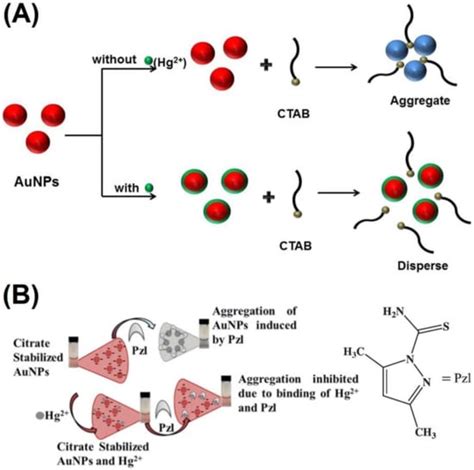 Anti Aggregation Enabled Colorimetric Sensing Applications Of Nanoparticles Encyclopedia Mdpi
