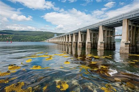 Tidal Power Station With Seaweed Floating Premium Ai Generated Image