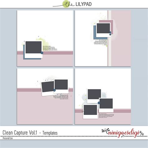 Clean Capture Vol1 Templates The Lilypad
