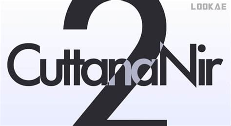 Ae脚本模板 500个缩放运动故障平移滚动抖动分割模糊水墨笔刷烟雾遮罩转场预设v2