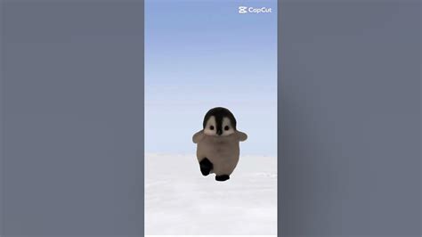 Mały Uroczy Pingwin Chodzi Cute Youtube