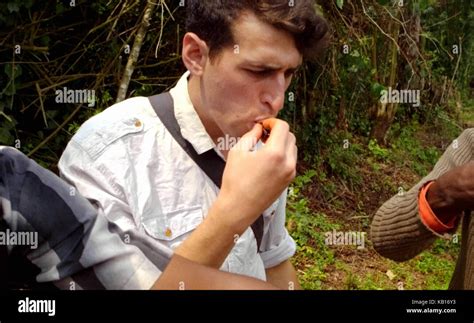 Bugs Josh Evans 2016 ©kino Lorbercourtesy Everett Collection Stock