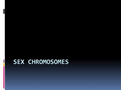 PPT SEX Chromosomes PowerPoint Presentation Free Download ID 3063835