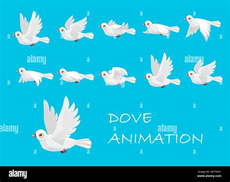 Bird Flying Animation Template