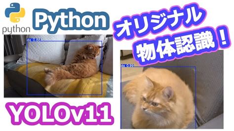 【python】yolov11で独自画像を学習！〜アノテーションから学習手順まで詳しく解説！〜 Pythonちゃん