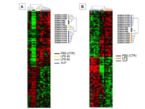 Supervised Hierarchical Clustering Of Genes Differentially Expressed In Download Scientific