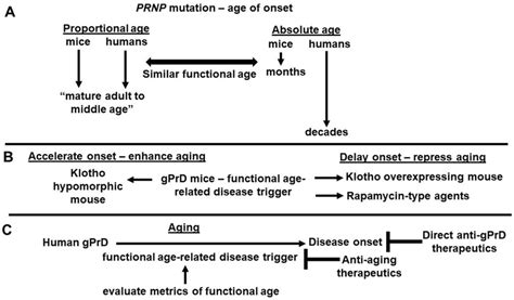 Hypothesis And Testing The Hypothesis A Left Concerning Proportional
