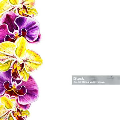 밝은 오초 꽃에서 아름다운 프레임입니다 수채화 그림입니다 이국적인 식물 플로럴 프린트 식물 구성 결혼식과 생일 인사말 카드 0