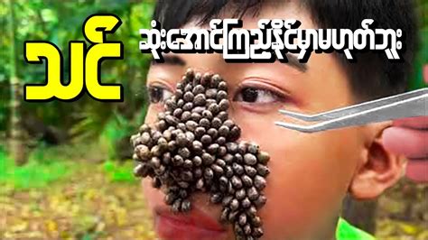 သင် ဒီဗီဒီယိုကို ဆုံးအောင်ကြည့်နိုင်မယ် ထင်သလား Youtube