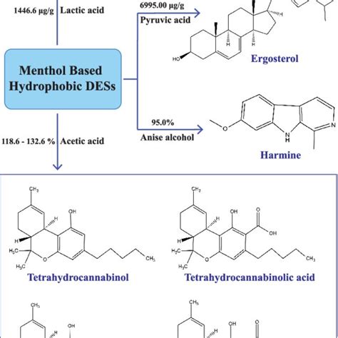 Molecular Structure Of Several Bioactive Compounds That Were Extracted