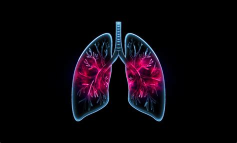 Deep Learning Model For Lung Tumour Detection And Segmentation Emj