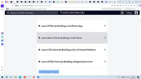 Learn Html By Building A Cat Photo App Step 14 Html Css The Freecodecamp Forum