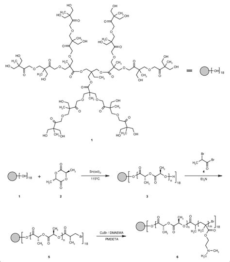 Scheme 1 The Synthesis Of Dendritic Star Block Copolymers By Download Scientific Diagram