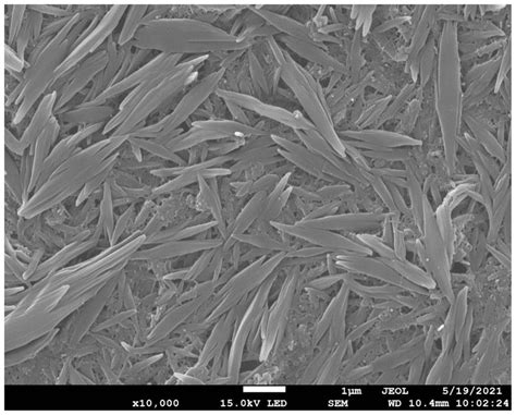 Perylene Diimide Based Sensor Material And Preparation Method And Application Of Sensor Eureka