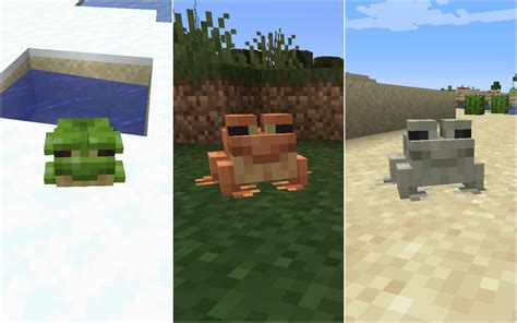 Frogs Colors Minecraft At Tawny Dunn Blog